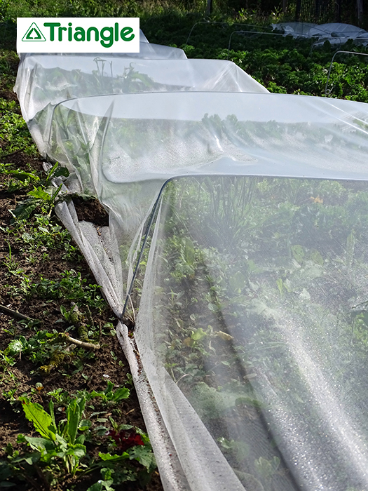 J'ai comparé pour vous les filets de protection anti-insectes ...